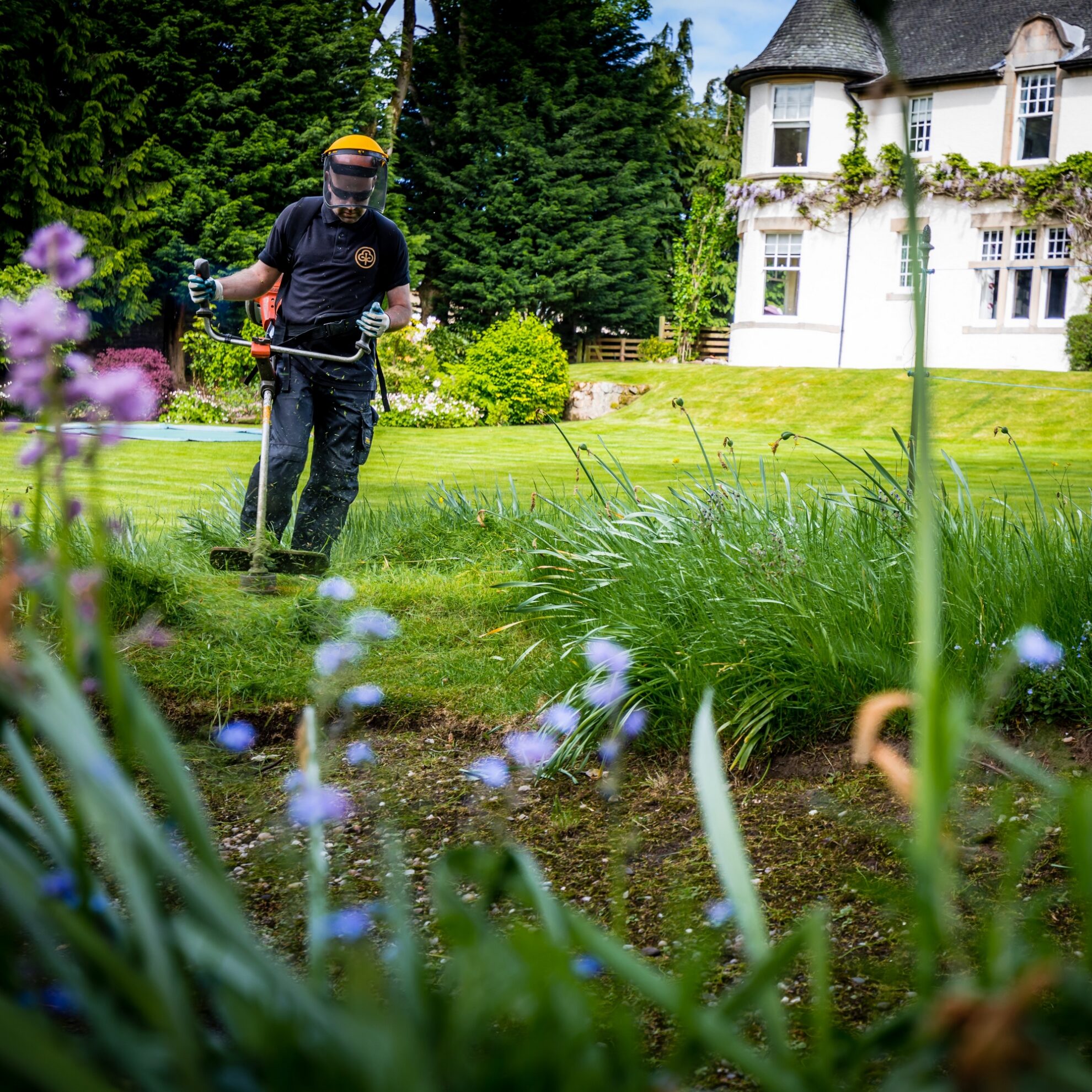 Lawn Topdressing Glasgow Glasgow | Grassgo Gardeners